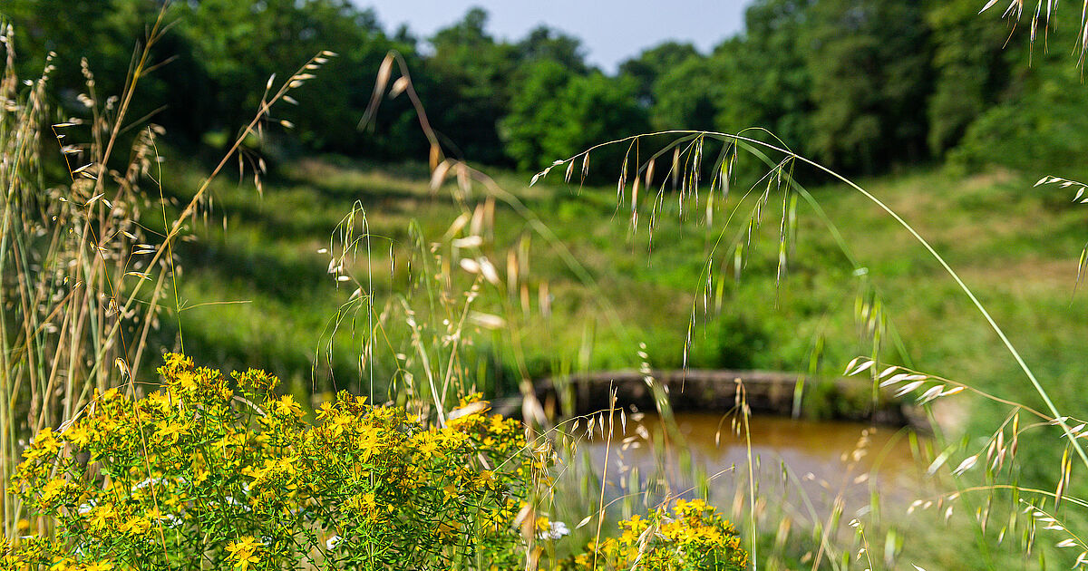 Tourisme - La Chapelle-Launay